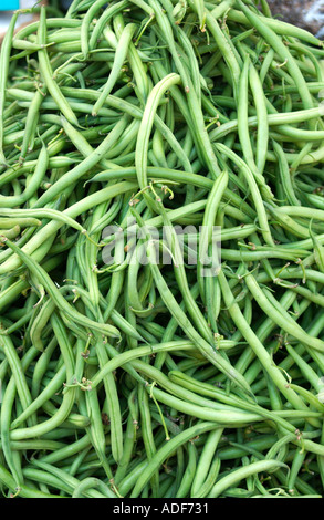Bunch of fresh green beans Stock Photo - Alamy