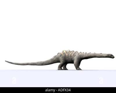 diplodocus or brontosaurus one of the sauropod family of dinosaurs 3d ...
