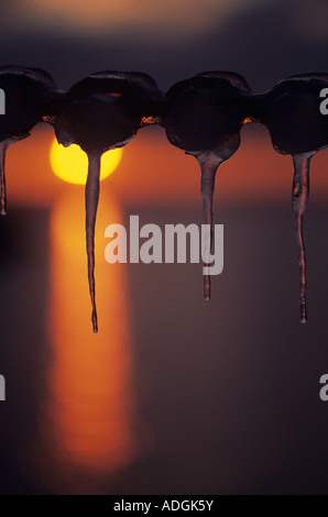 Icicles hanging on a chain - frost, winter concept Stock Photo - Alamy