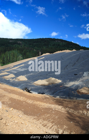 Old mine waste rock rehabilitation Duthie Mine Smithers British ...