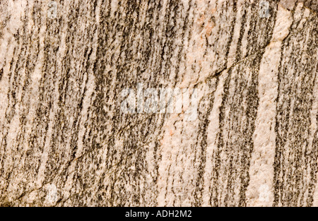 Gneiss metamorphic rock mineral banding, Mangurstadh, Lewis, Outer ...
