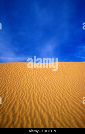 Imperial Sand Dunes National Recreation Area in southern California ...