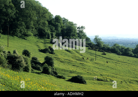The scene of the Battle of Edgehill Stock Photo - Alamy
