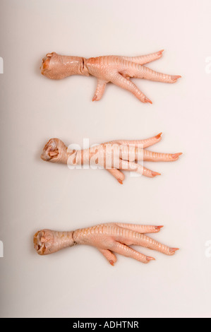 Food feet foot toes claw claws talon talons gross anatomy chicken ...