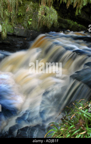 Fast stream water tumbling over mossy rocks and leaves in a small ...