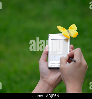 a woman doing something with a PDA on the grass Stock Photo - Alamy