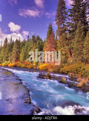 Metolius River with fall color. Oregon Stock Photo - Alamy