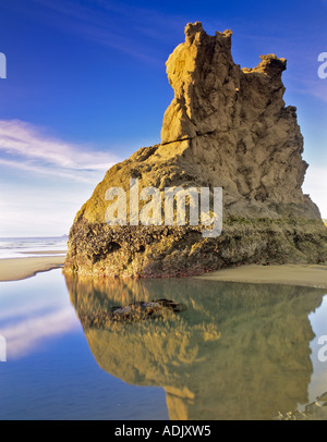 Rugged Coastal Tidepools and Rock Formations at Eye Level Stock Photo ...