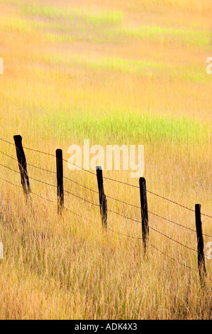 Farms in a fence Stock Photo - Alamy