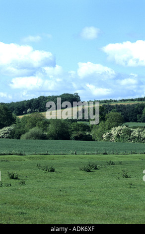 Battle of Edgcote site, Oxfordshire, England, UK Stock Photo - Alamy