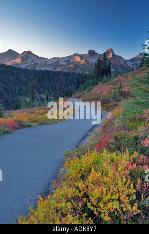 autumn colors and a trail in the tatoosh mountains in mt. rainier ...