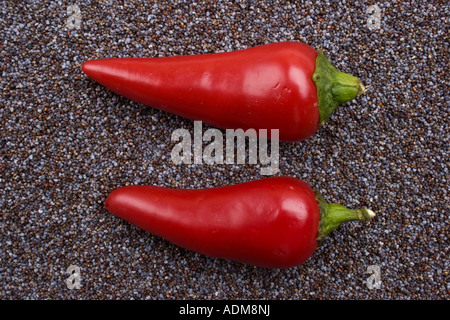 Two red long pepper on blue bacground Stock Photo - Alamy