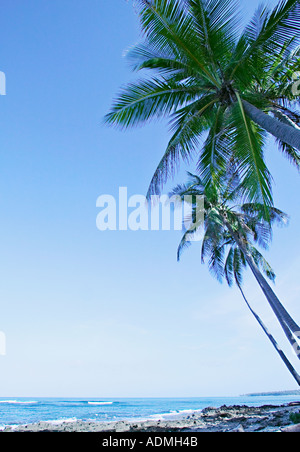 Tropical beach with palm trees. Pagudpud, Ilocos Norte Philippines ...
