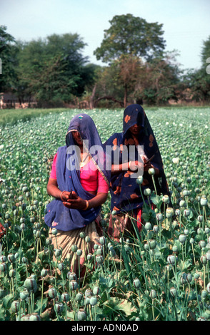 Black Tar Opium Stock Photo - Alamy