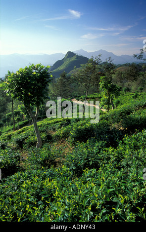 Hunas Falls Matale District Hill Country nr Kandy Sri Lanka Stock Photo ...