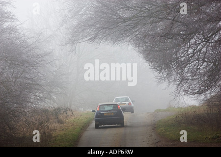 bad country road for cars through a field with wheat, agricultural ...