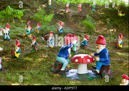 A garden gnome at 'Gnome Magic' a tourist attraction on the Old Ipswich ...