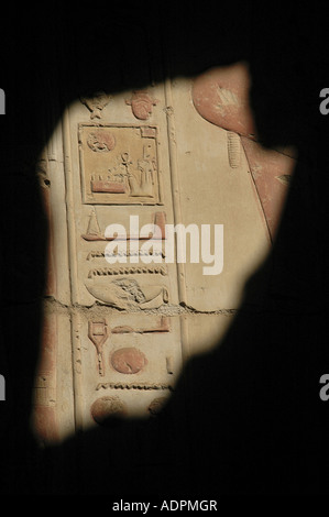 Hieroglyph pictographic script writing at the Temple of Seti, Nile ...