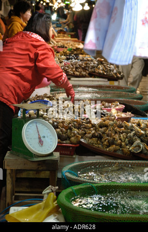 Shell fish, Incheon fish market, South Korea, Asia Stock Photo - Alamy