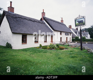 White painted thatched country pub / B & B, Rose and Crown under blue ...
