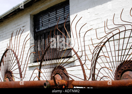 Lely Vicon Acrobat Hay Turner Stock Photo - Alamy
