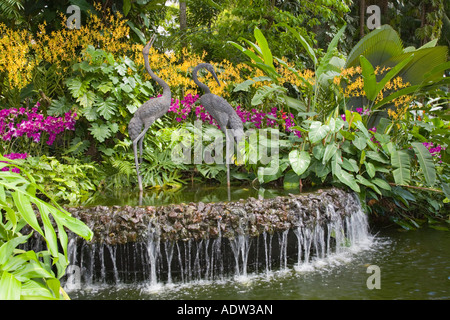 Tropical water feature with plants at Singapore Botanic Gardens Stock ...