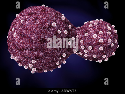 Micro Biotech II Stock Photo - Alamy