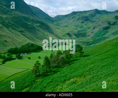 A classic U-shaped valley; Grisedale, near Patterdale, Lake District ...