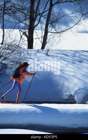 female cross-country skier, carrying backpack Stock Photo - Alamy