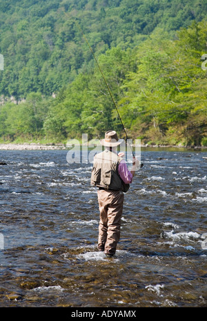 Man Fly Fishing, Beaverkill River, Catskill Park, New York, USA Stock ...