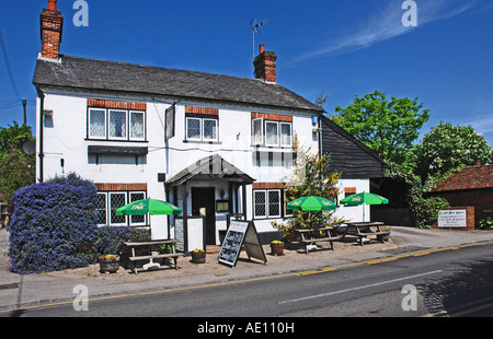 Old Swan Uppers public house, Cookham, Berkshire England Stock Photo ...