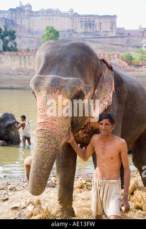 Elephants being washed in a river in Tangkahan, Sumatra, Indonesia ...
