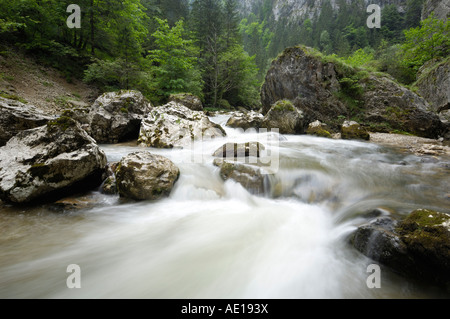 Bicaz River, Moldavia, Romania, Europe Stock Photo: 20534714 - Alamy