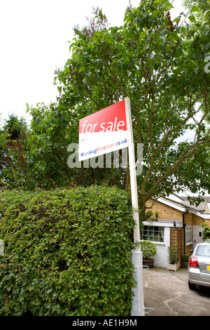 For Sale sign in green bush Stock Photo - Alamy