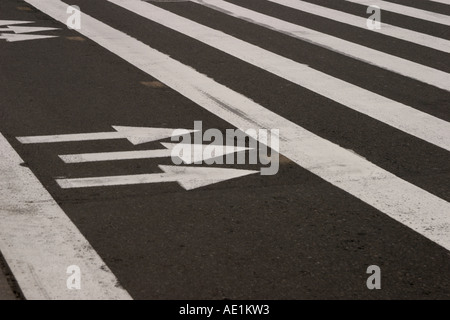Zebra Crossing With Arrows in St Petersburg Russia Stock Photo - Alamy