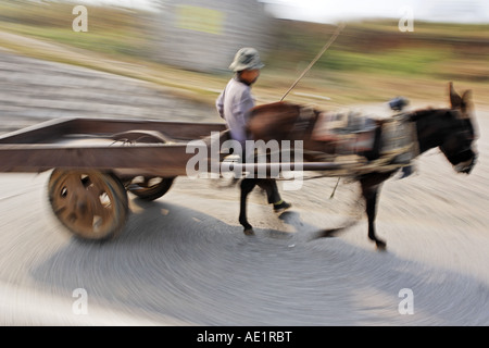 Donkey pulling cart Stock Photo - Alamy