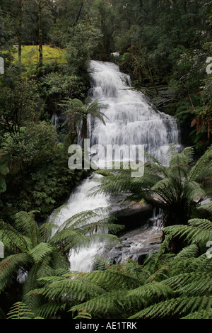Triplet Falls, Australia, Victoria, Great Otway, national park ...