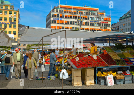Stockholm Hotorget, view in summer of the Stockholm Concert Hall ...