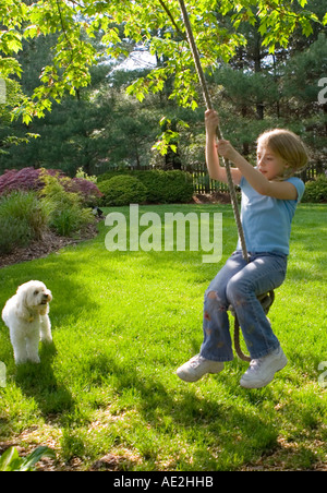Pet dog on a swing Stock Photo - Alamy