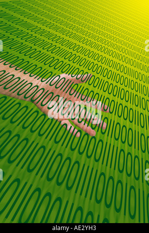 Information at your fingertips Stock Photo - Alamy