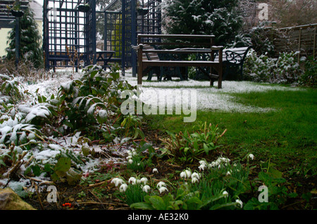 Half inch of snow in english garden Stock Photo - Alamy