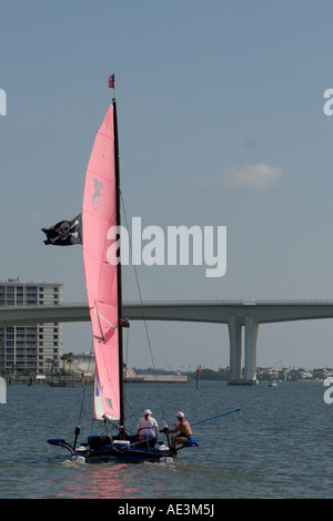 Catamaran Sailboat with Pink Sail and Pirate Flag Stock Photo - Alamy