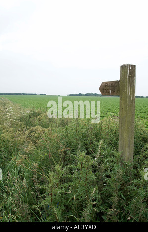 Public footpath sign point through a cow field Stock Photo - Alamy