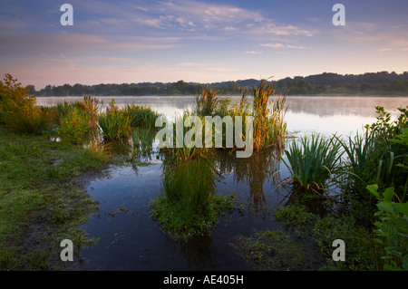 Whitlingham Country Park Stock Photo - Alamy