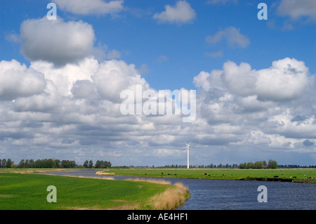Typical friesian landscape Ostfriesland Niedersachsen Germany Stock ...