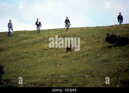 Grouse beaters with flags on a grouse shoot on moors in Scotland, UK ...