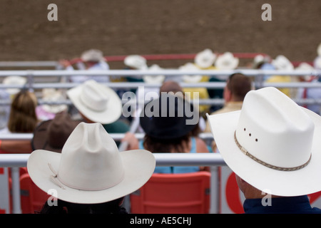 Rodeo crowd sitting in stadium bleacher seats with man in a cowboy hat ...