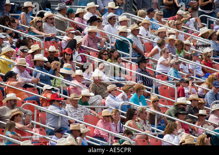Rodeo crowd with cowboy hats sitting in the stadium bleacher seats at ...