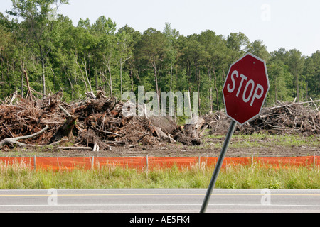 Chesapeake Virginia,Western Branch,deforestation,new home,under new ...