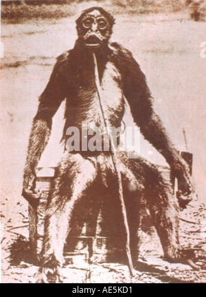 De Loys' Ape Stock Photo - Alamy